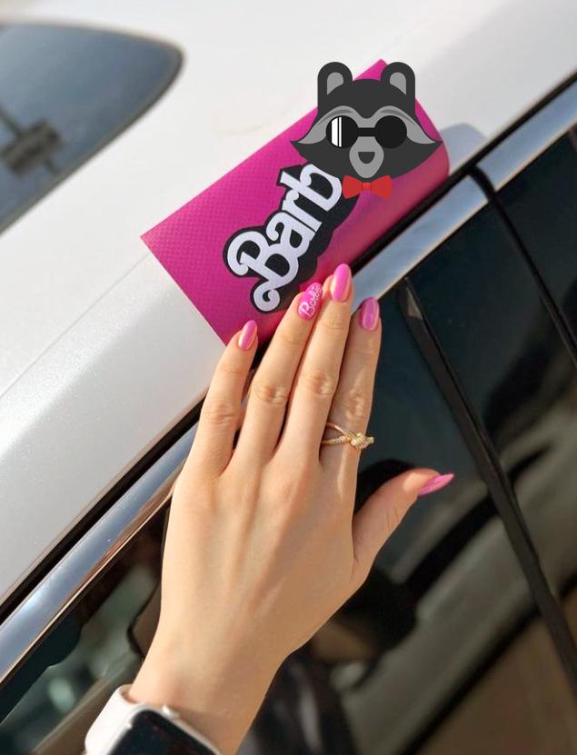 Premium Car Tags, 3M Tape and Alcohol Wipe, Easy to Install - Etsy