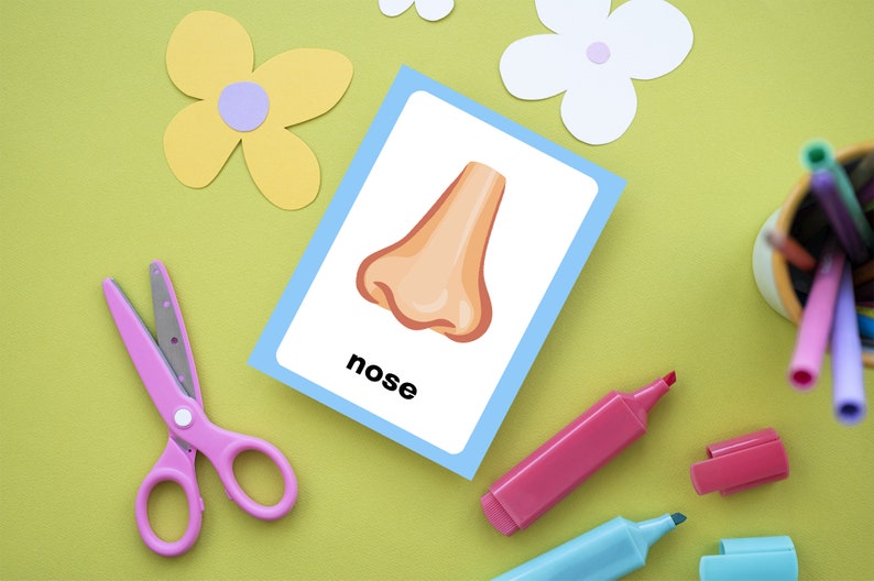 Human Body Educational Cards, Body Parts Cards, Montessori Flashcards ...