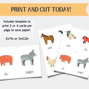 20 Farm Animals Cards, Montessori Flash Cards,pre-school Cards,rainbow ...