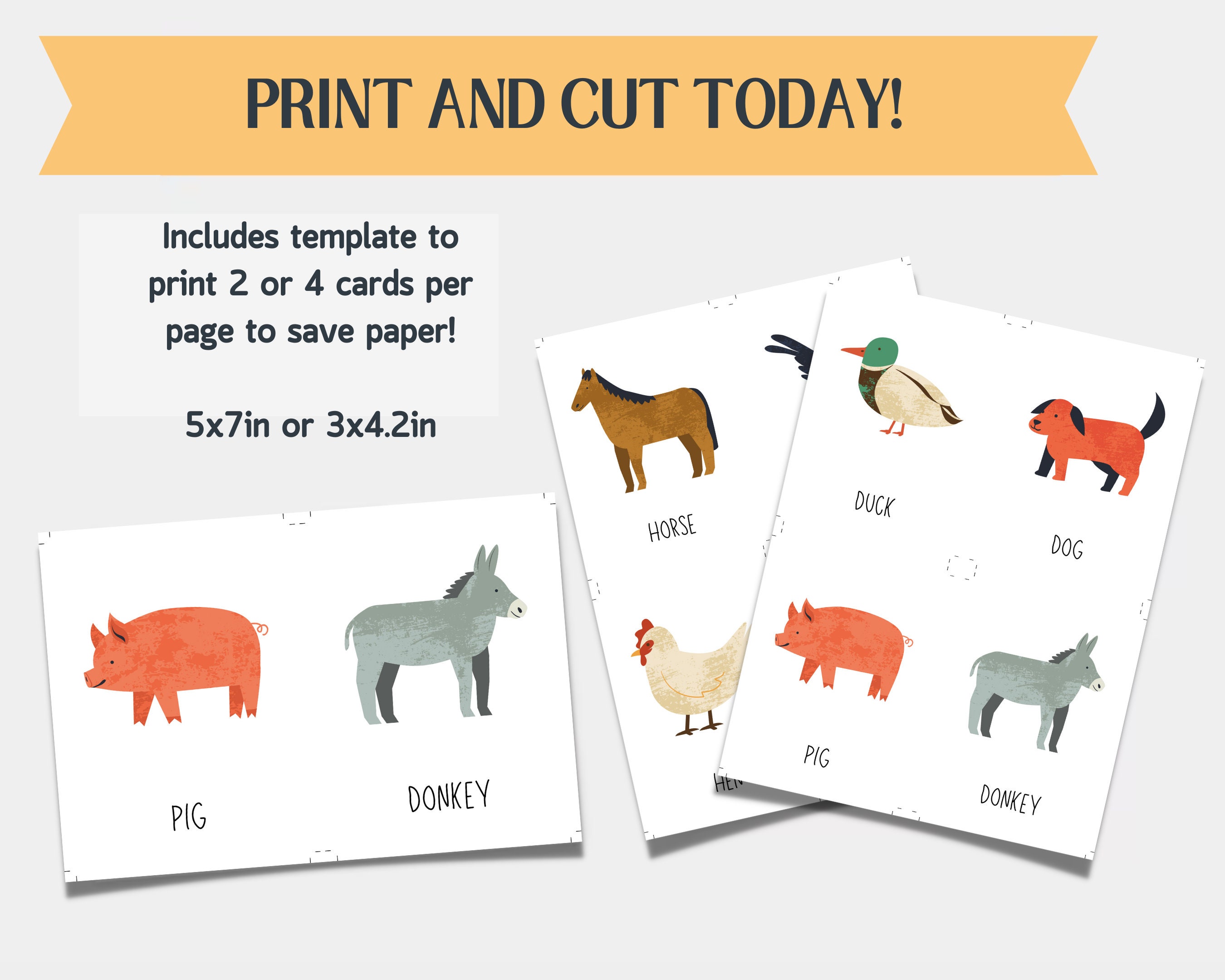 20 Farm Animals Cards, Montessori Flash Cards,pre-school Cards,rainbow ...