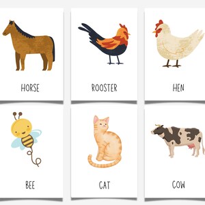 20 Farm Animals Cards, Montessori Flash Cards,pre-school Cards,rainbow ...