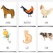 20 Farm Animals Cards, Montessori Flash Cards,pre-school Cards,rainbow ...