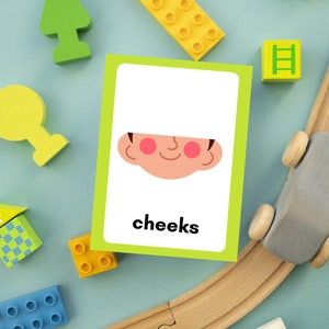 Human Body Educational Cards, Body Parts Cards, Montessori Flashcards ...
