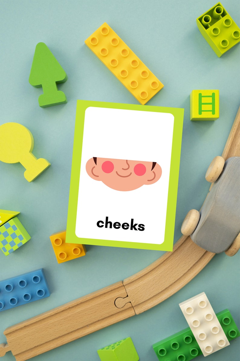 Human Body Educational Cards, Body Parts Cards, Montessori Flashcards ...