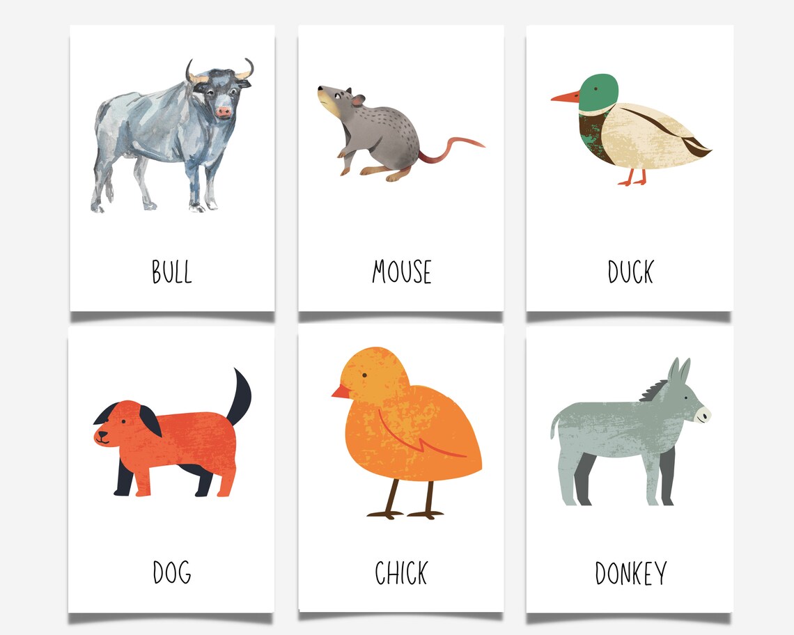 20 Farm Animals Cards, Montessori Flash Cards,pre-school Cards,rainbow ...