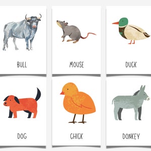 20 Farm Animals Cards, Montessori Flash Cards,pre-school Cards,rainbow ...