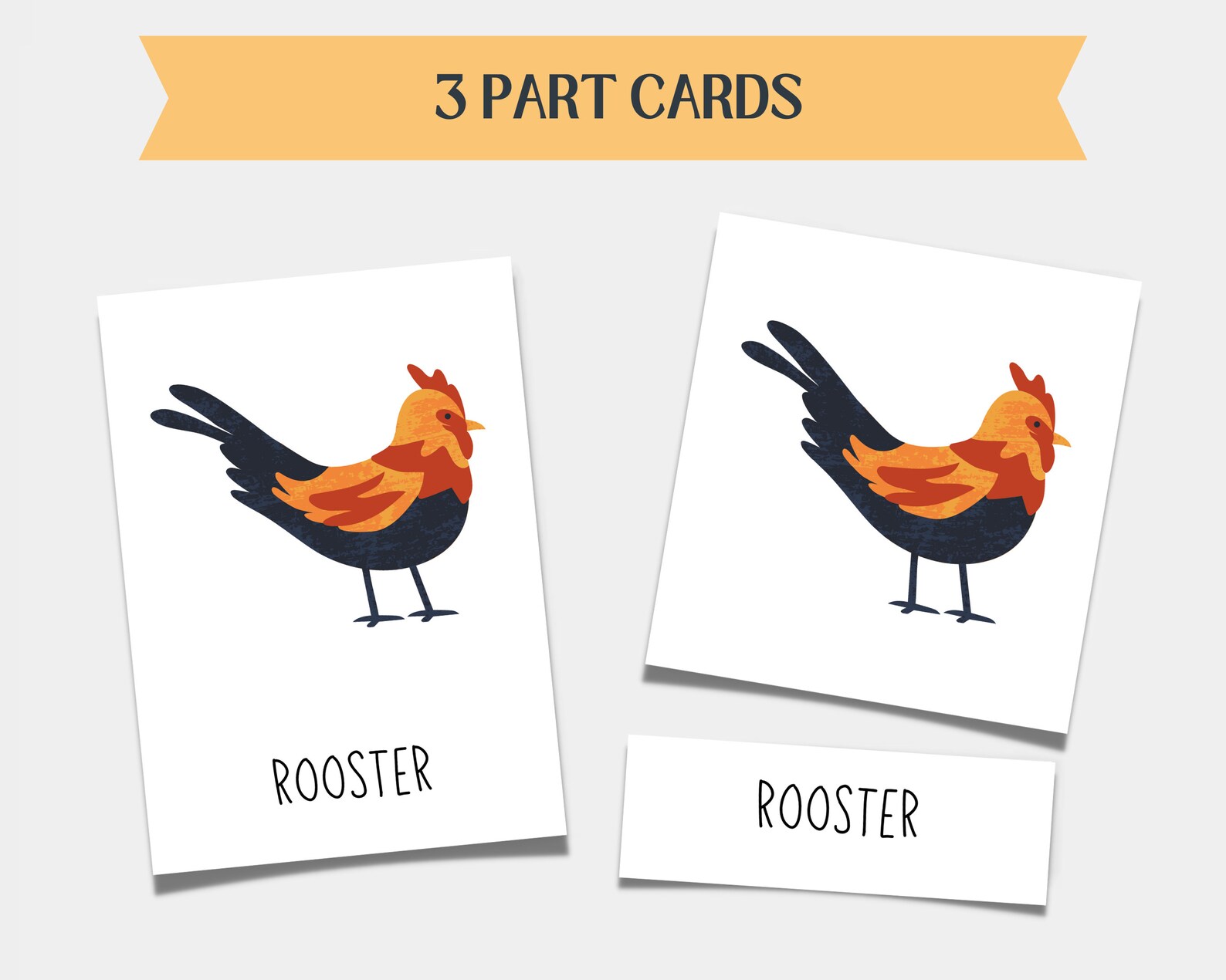 20 Farm Animals Cards, Montessori Flash Cards,pre-school Cards,rainbow ...