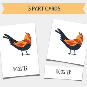 20 Farm Animals Cards, Montessori Flash Cards,pre-school Cards,rainbow ...