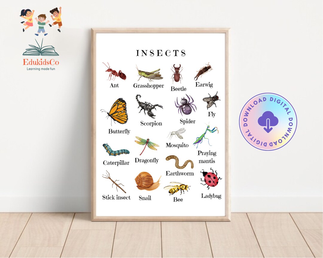 INSECTS POSTER, Montessori Poster, Montessori Educational Homeschooling ...