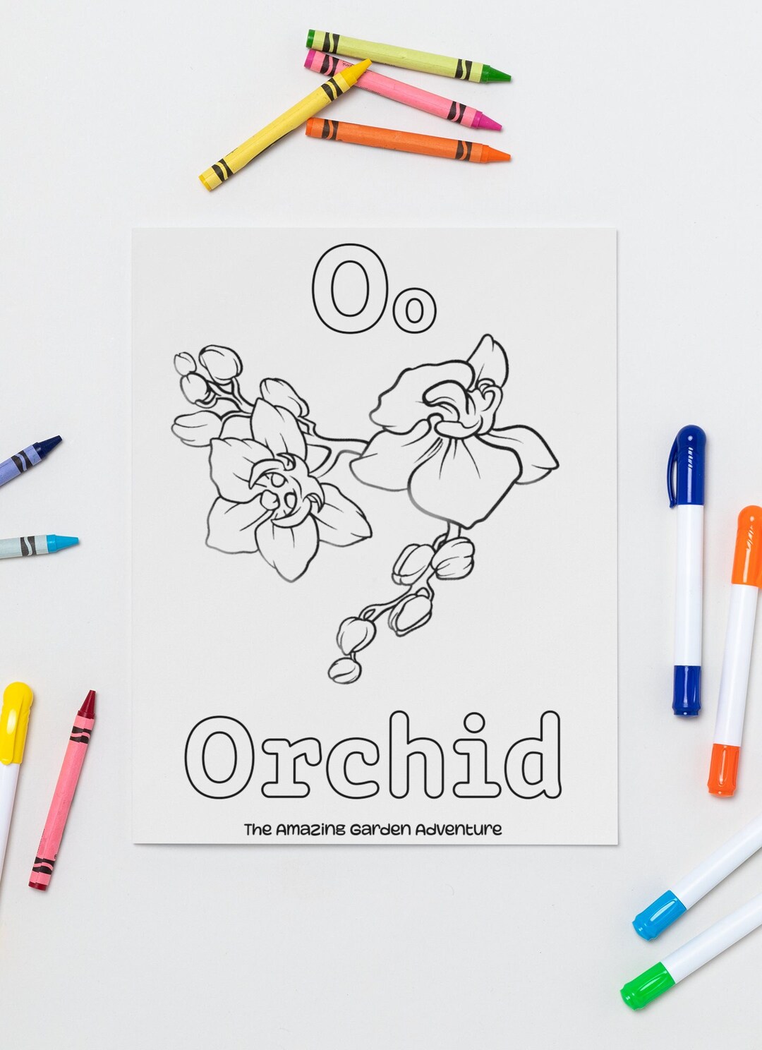 ABC, Kids Coloring, Alphabet Colouring Pages, Al's Coloring Garden - Etsy