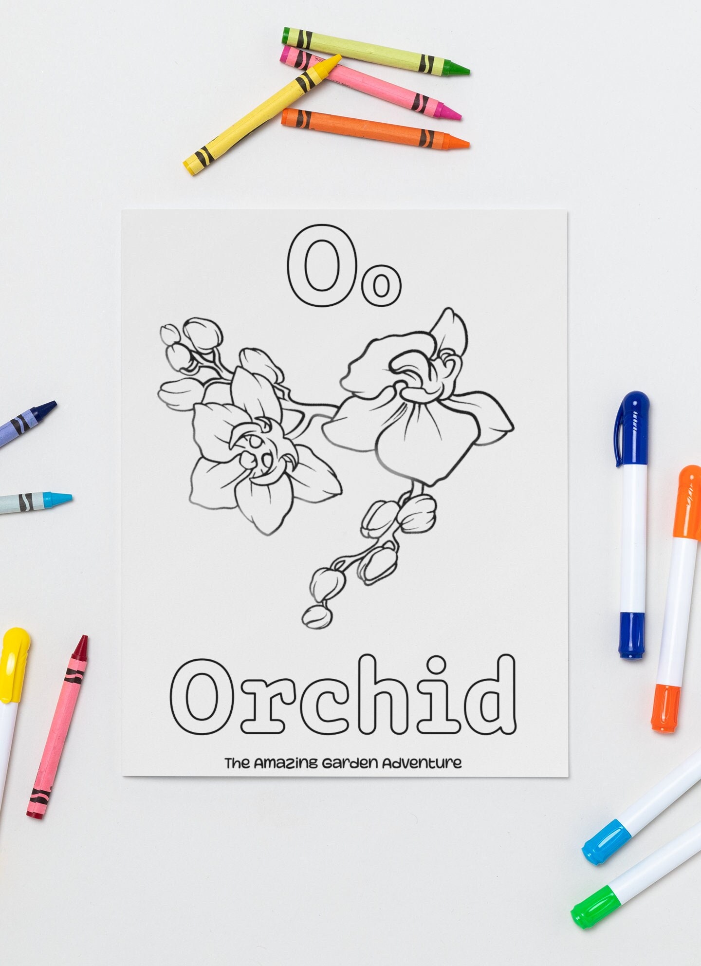 ABC, Kids Coloring, Alphabet Colouring Pages, Al's Coloring Garden - Etsy