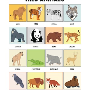 4 Animals Posters for Kids, Mythical Creatures, Farm Animals, Wild ...