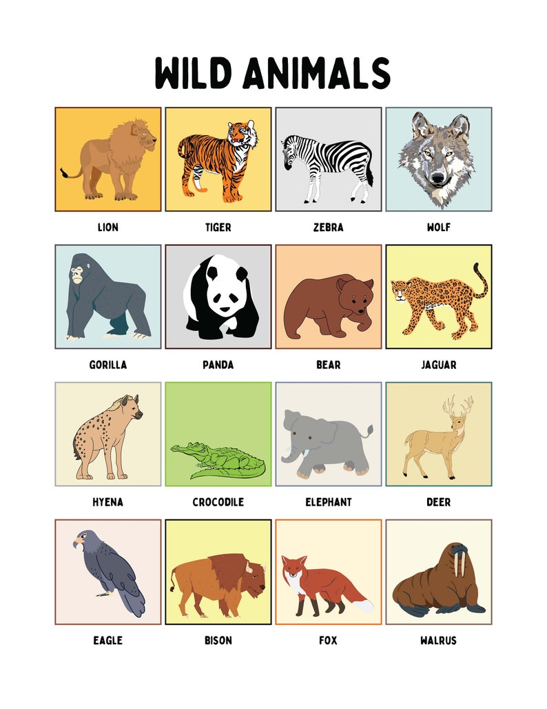 4 Animals Posters for Kids, Mythical Creatures, Farm Animals, Wild ...