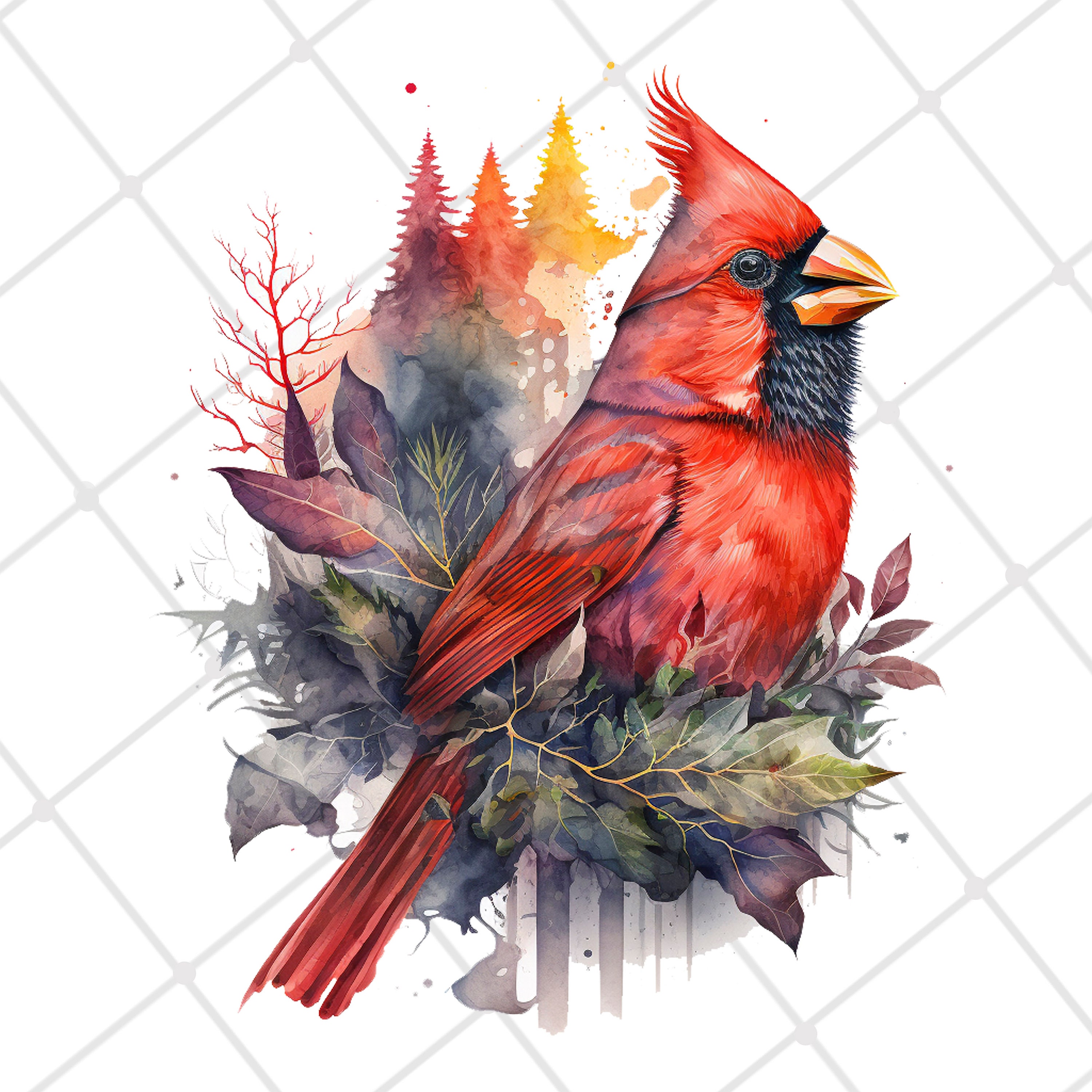 7 Red Cardinal Clipart Watercolor Clipart Bird Clipart PNG - Etsy