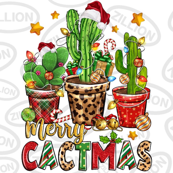 Christmas Cactus - Etsy