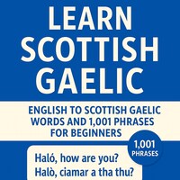 Lesson Plan Template ( as Gaeilge) - Digital Template - Etsy
