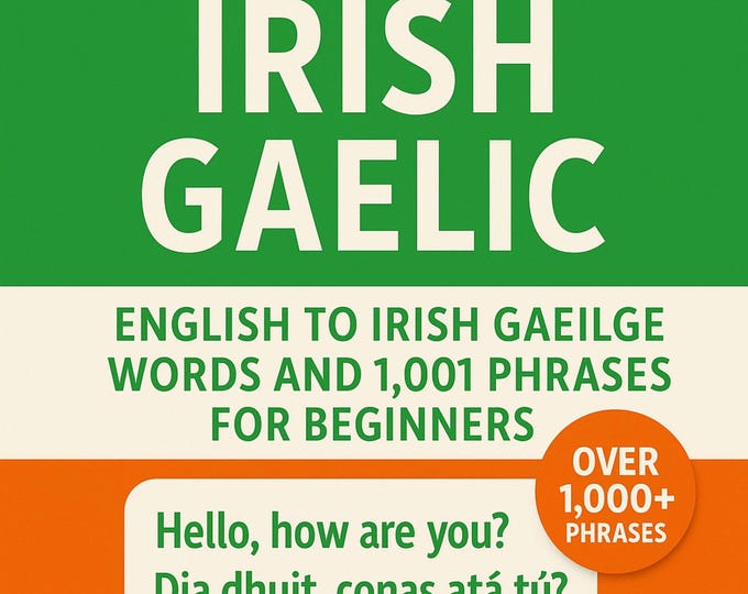 Learn Irish Gaelic: English to Irish Gaeilge Words and 1,001 Phrases ...