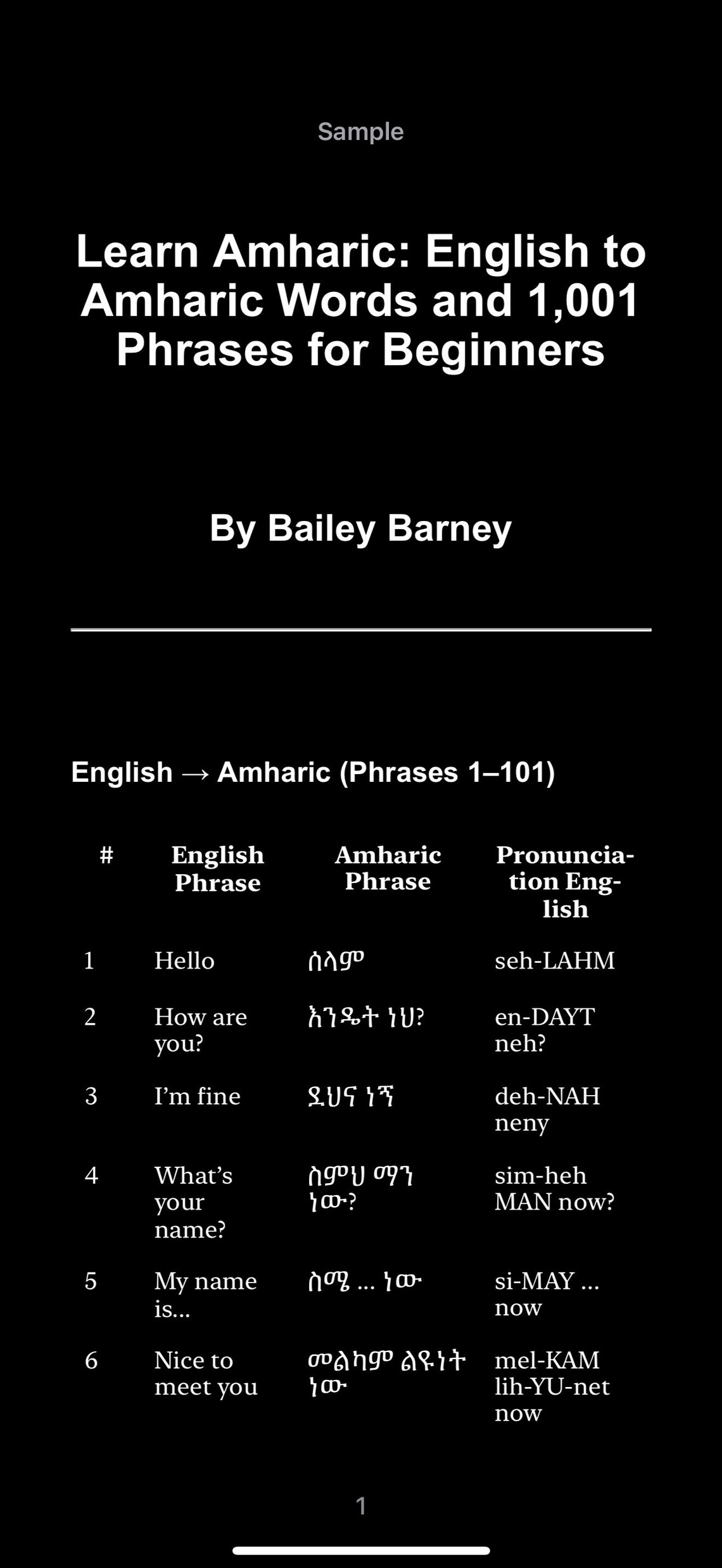 Learn Amharic: English to Amharic Words and 1,001 Phrases for Beginners ...