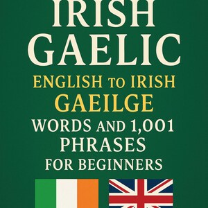 Learn Irish Gaelic: English to Irish Gaeilge Words and 1,001 Phrases ...