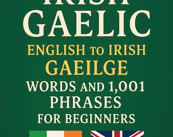 Learn Irish Gaelic: English to Irish Gaeilge Words and 1,001 Phrases ...