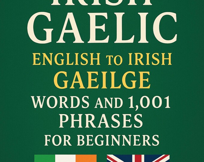 Learn Irish Gaelic: English to Irish Gaeilge Words and 1,001 Phrases ...