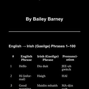 Learn Irish Gaelic: English to Irish Gaeilge Words and 1,001 Phrases ...