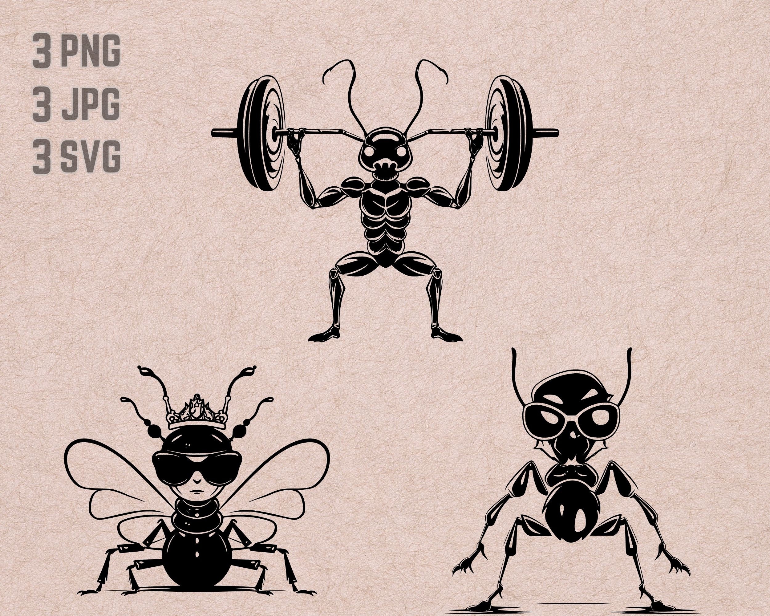 Ant SVG Designs, Ant Sunglasses Logo, Bodybuilder Ant Vector, Ant Queen ...