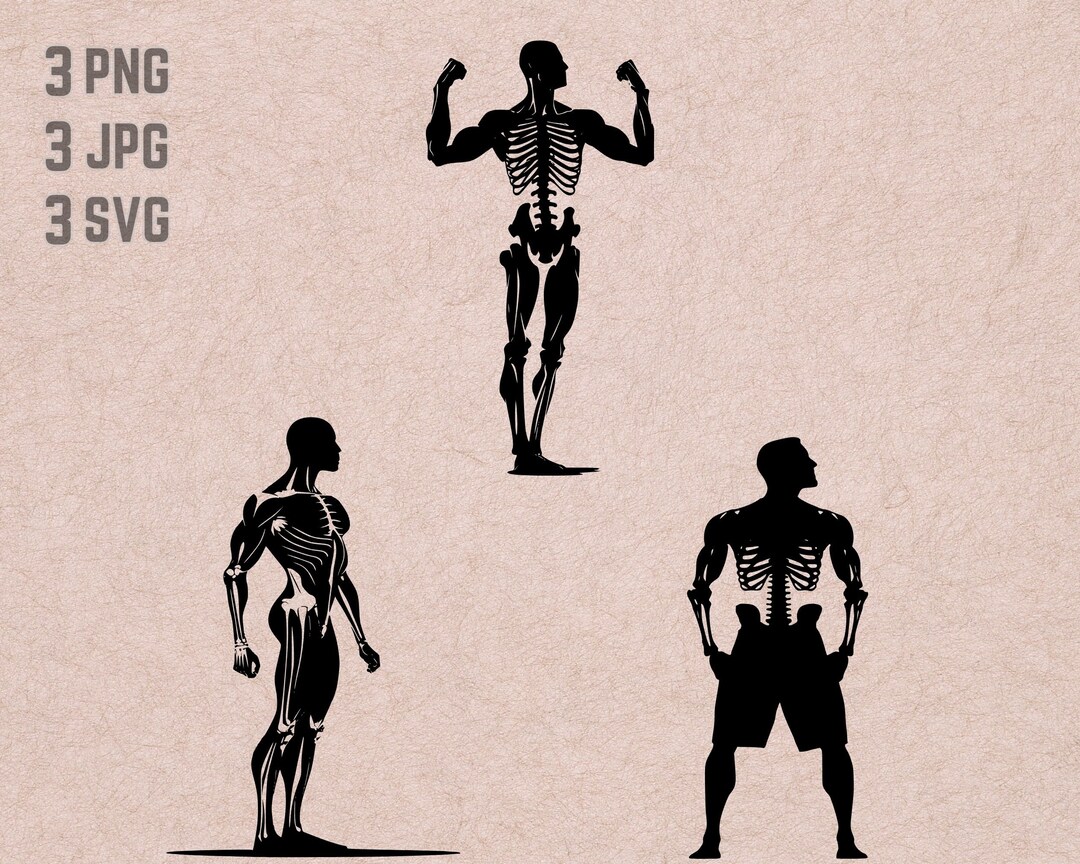 Weightlifting Skeleton Svg Designs, Gym Logo Vector, Halloween Fitness ...