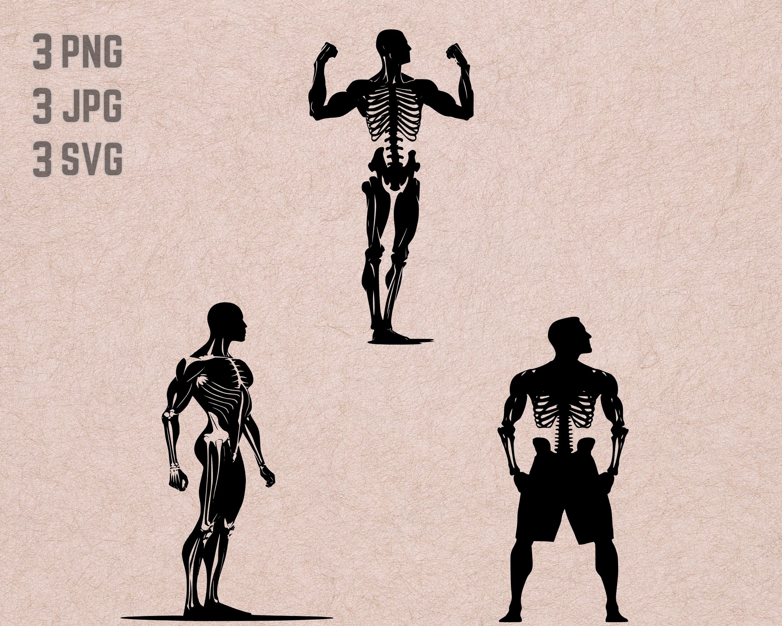 Weightlifting Skeleton Svg Designs, Gym Logo Vector, Halloween Fitness ...