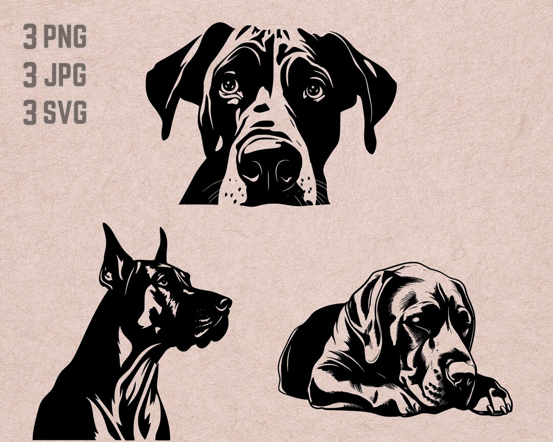 Great Dane SVG Designs, Dog Logo, Dog Lover Vector, Funny Dog PNG, Dog ...