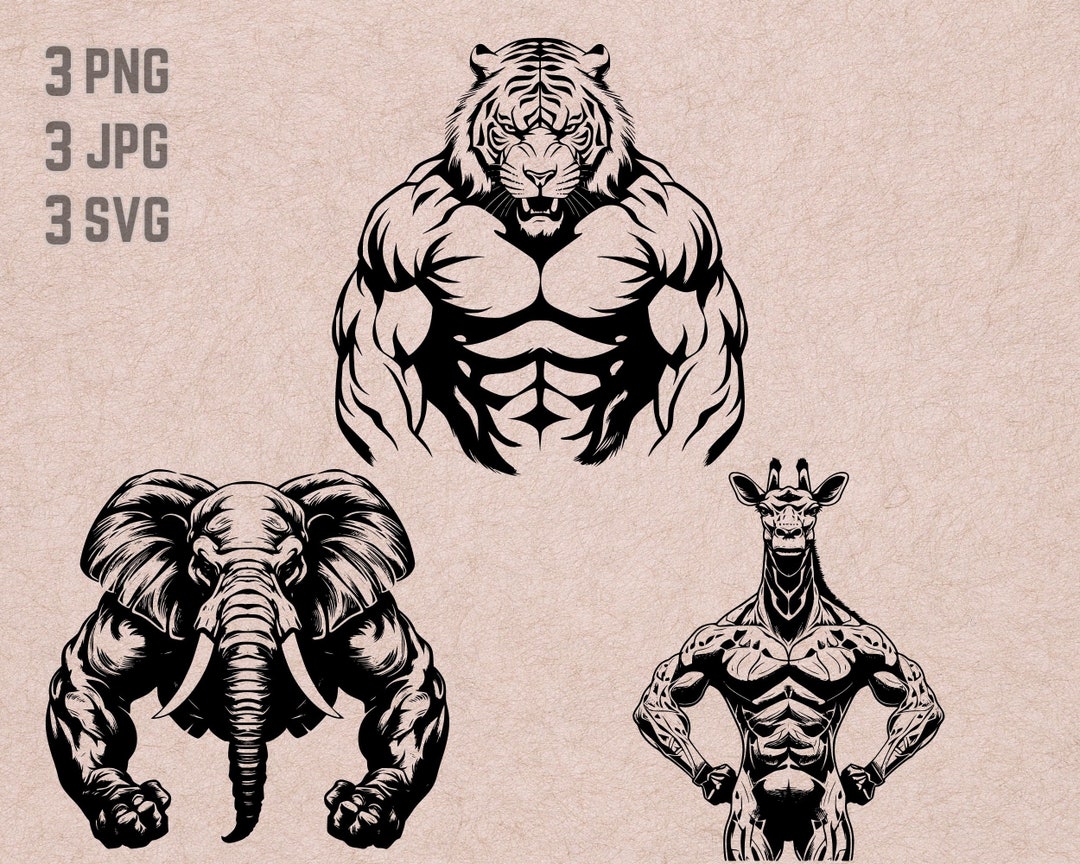 Bodybuilder Svg Designs, Gym Logo Vector, Elephant Giraffe Tiger ...