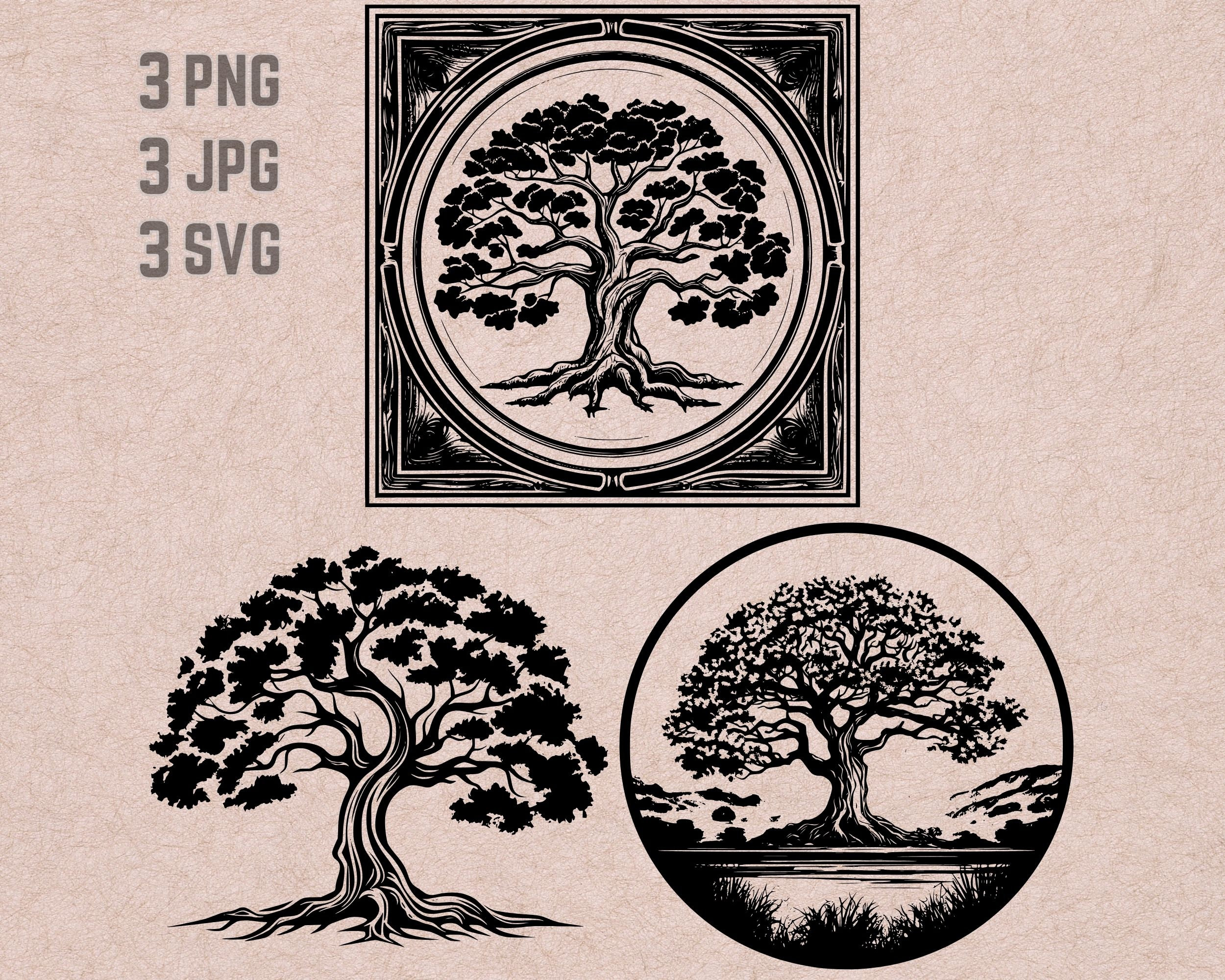 Oak Tree SVG Designs, Oak Logo, Tree Vector, Forest PNG, Oak Tree ...