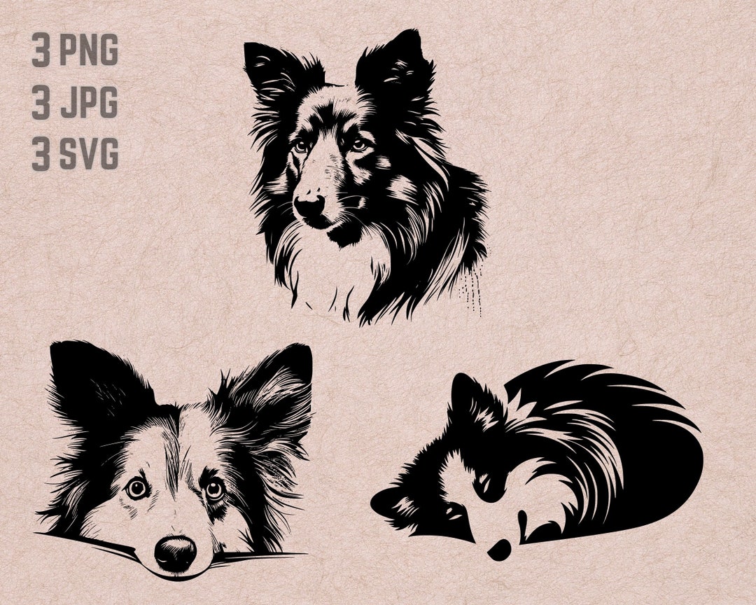 Sheltie SVG Designs, Dog Logo, Dog Lover Vector, Funny Dog PNG, Dog ...