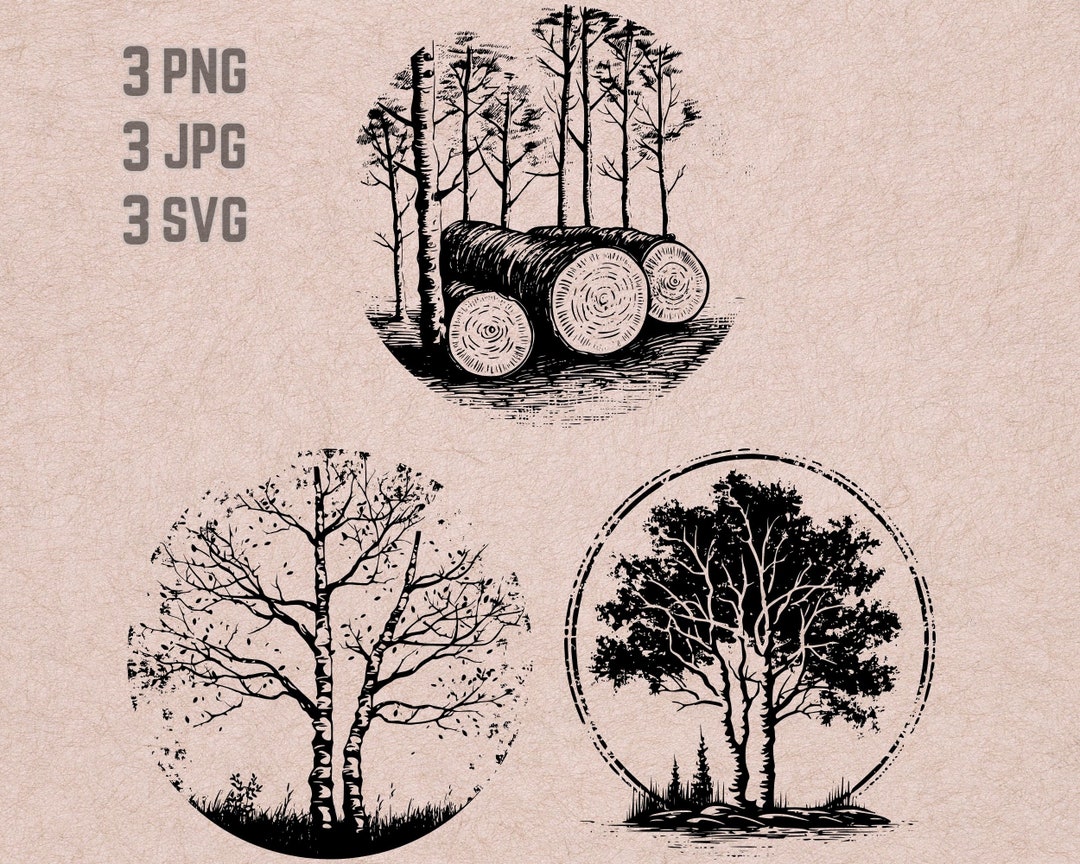 Birch Tree SVG Designs, Birch Logo, Birch Logs Vector, Forest PNG ...