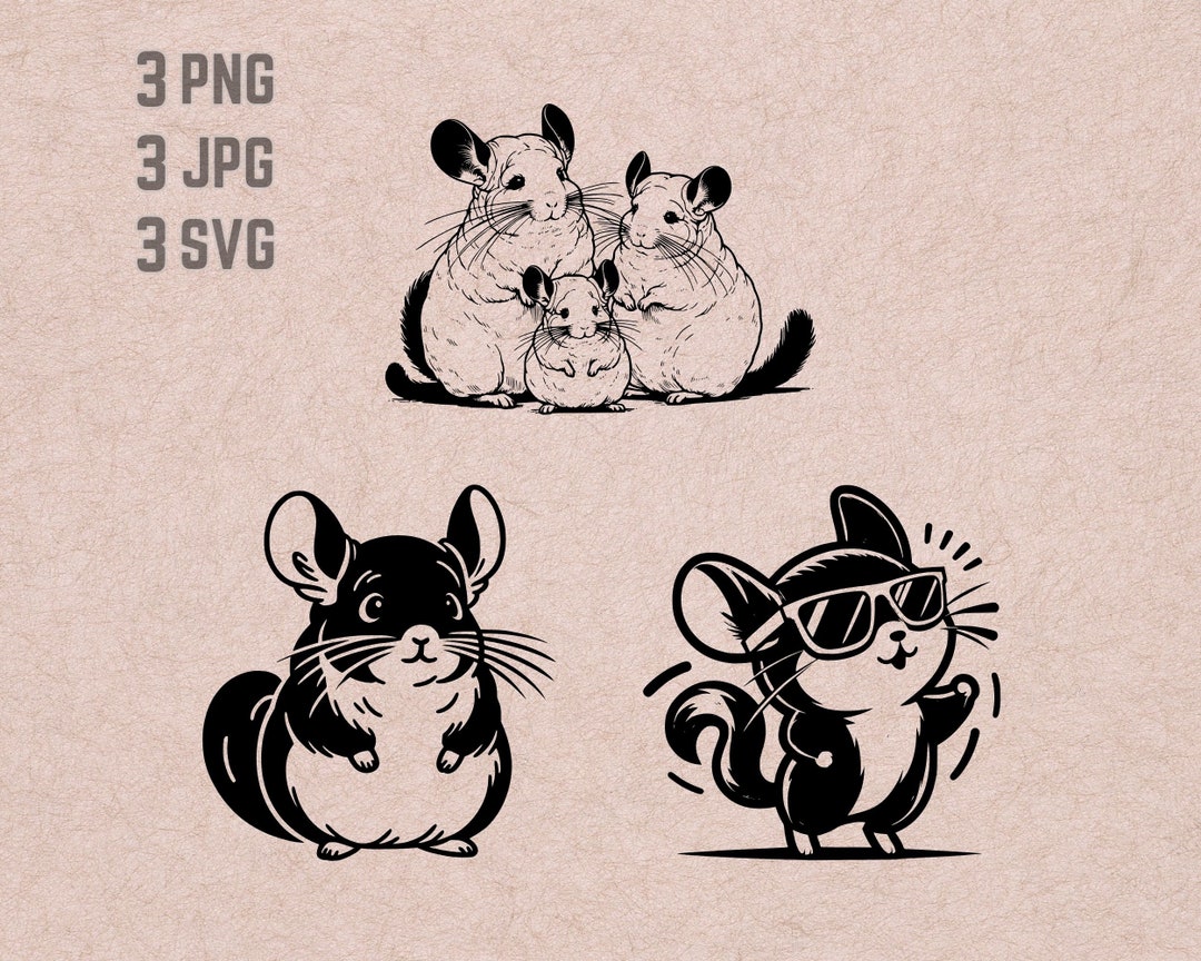 Chinchilla SVG Designs, Chinchilla Logo, Chinchilla Family PNG, Rodents ...