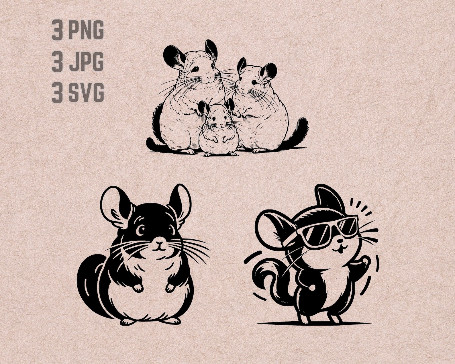 Chinchilla SVG Designs, Chinchilla Logo, Chinchilla Family PNG, Rodents ...