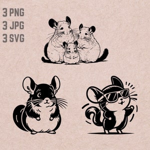 Chinchilla SVG Designs, Chinchilla Logo, Chinchilla Family PNG, Rodents ...