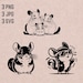 Chinchilla SVG Designs, Chinchilla Logo, Chinchilla Family PNG, Rodents ...