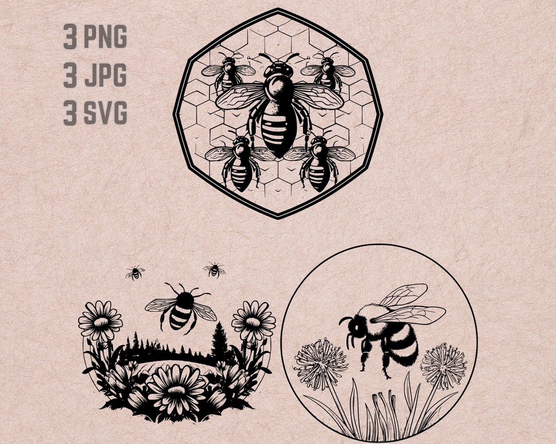 Bee SVG Designs, Bee Logo, Queen Bee Vector, Hive PNG, Bee Bundle ...