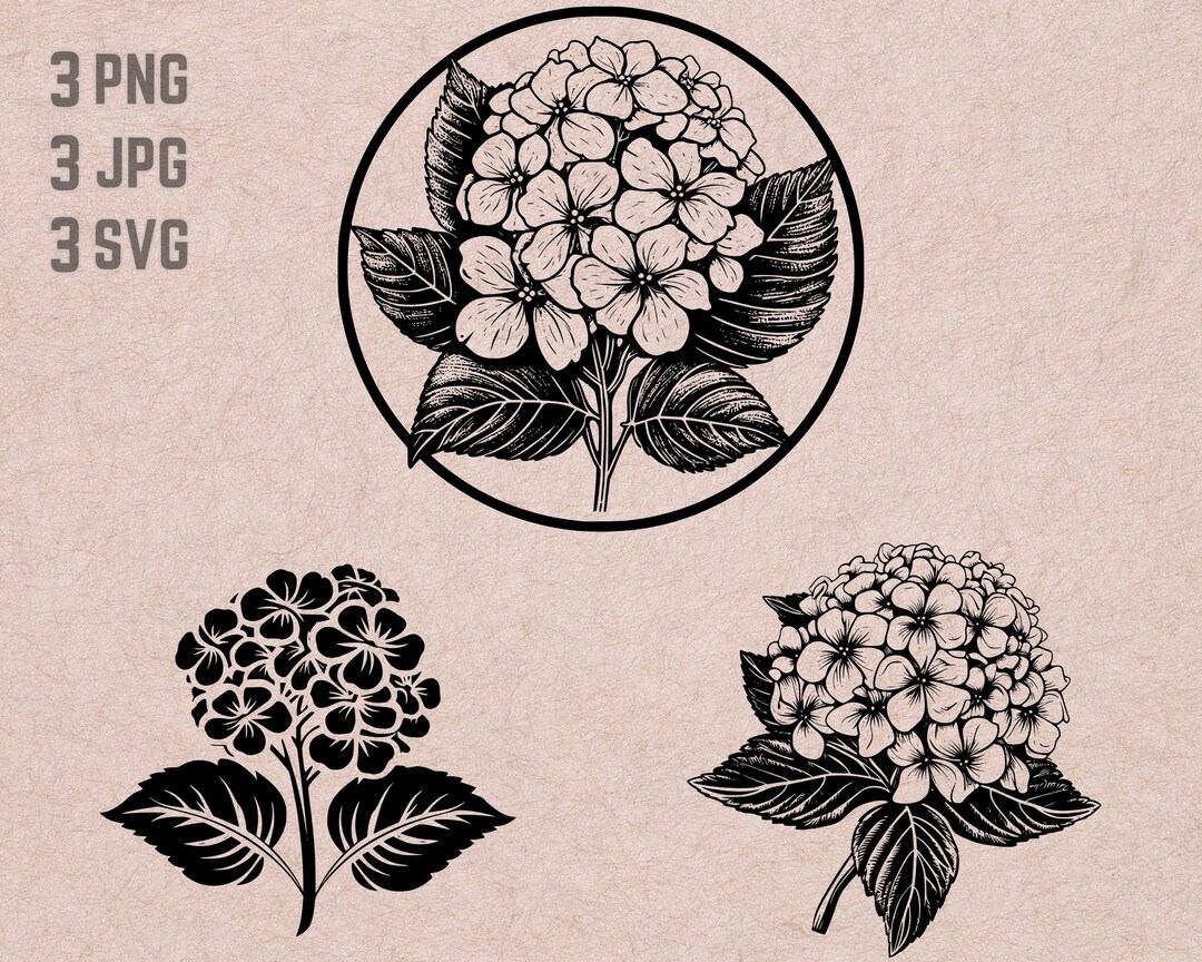 Hydrangea SVG Designs, Hydrangea Logo, Flower Vector, Hydrangea Bouquet ...