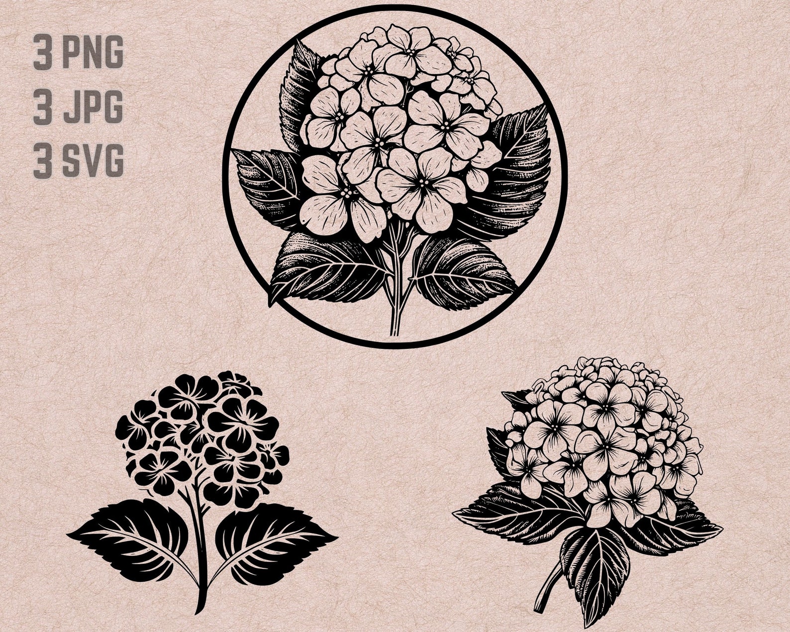 Hydrangea SVG Designs, Hydrangea Logo, Flower Vector, Hydrangea Bouquet ...