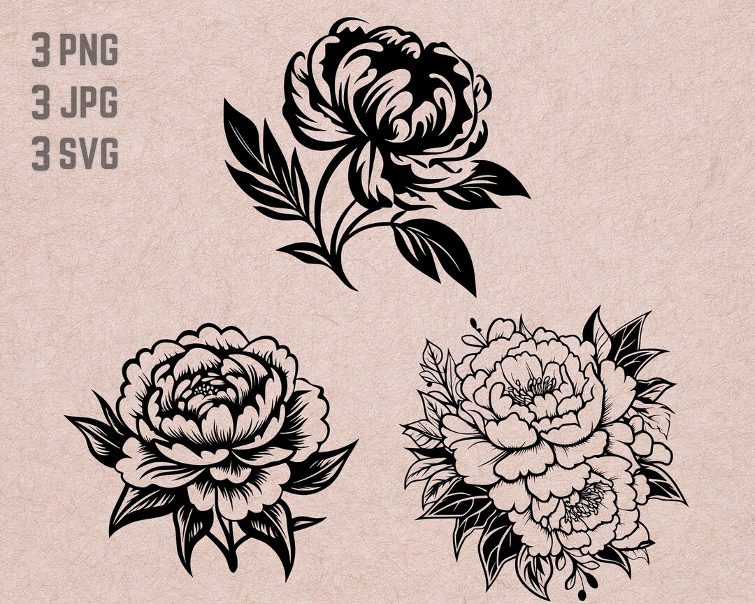 Peony SVG Designs, Peony Logo, Flower Vector, Peony Bouquet PNG, Peony ...
