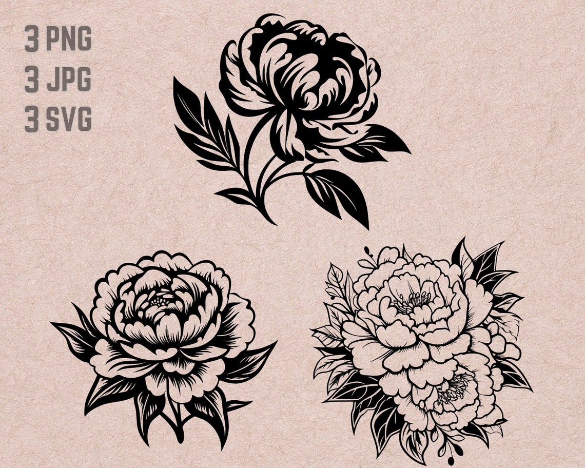 Peony SVG Designs, Peony Logo, Flower Vector, Peony Bouquet PNG, Peony ...
