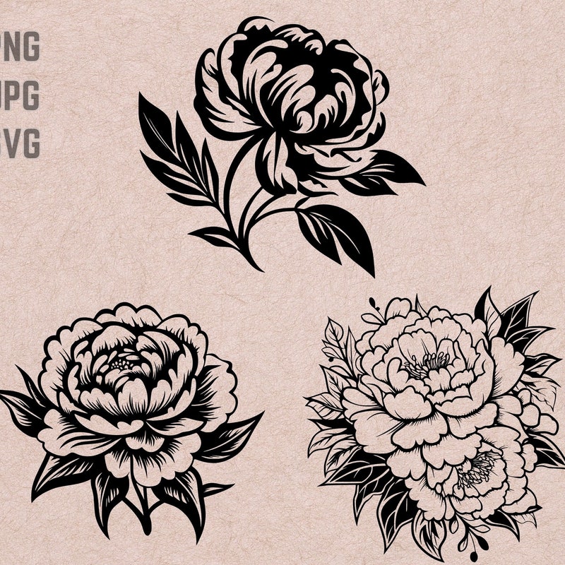 Peony Svg - Etsy