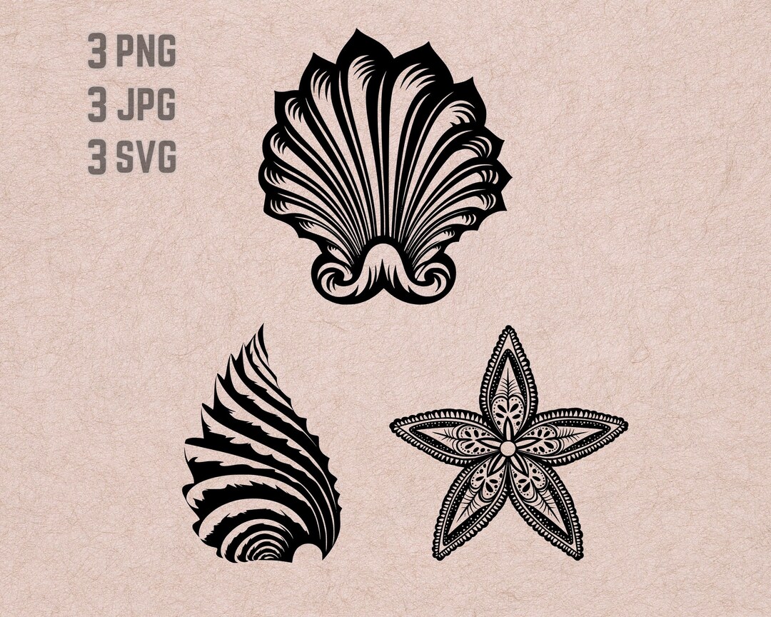 Seashells Svg Designs, Seashells Logo, Starfish PNG, Sea Creature ...
