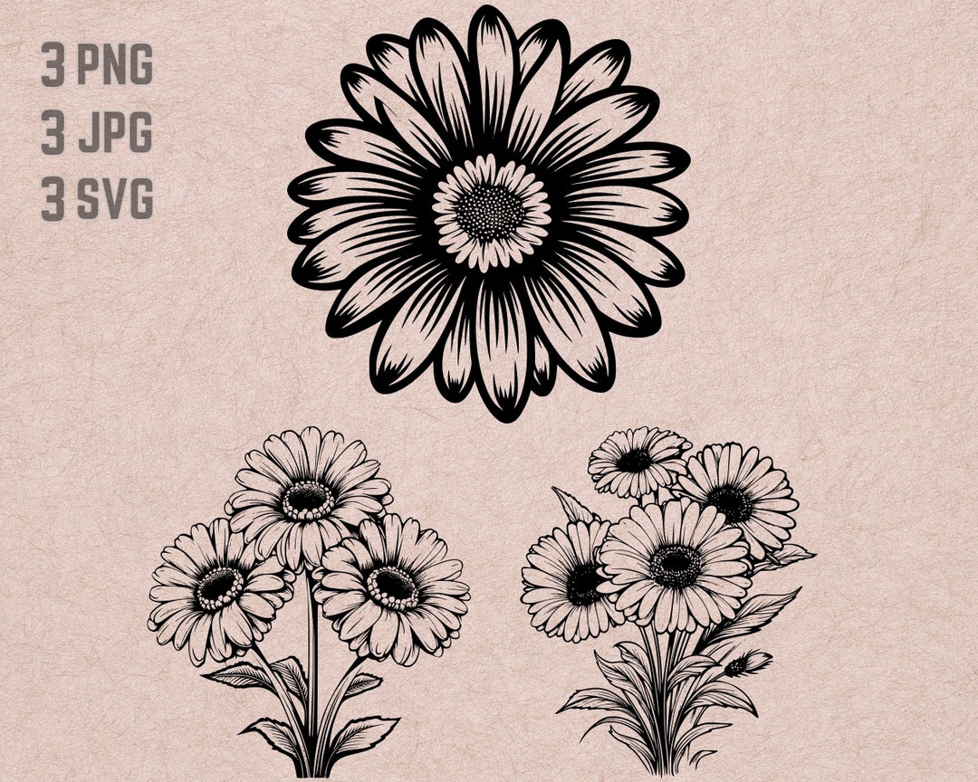 Gerbera SVG Designs, Gerbera Logo, Flower Vector, Gerbera Bouquet Png ...