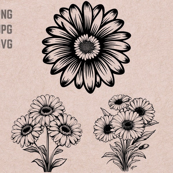 Daisy Svg - Etsy
