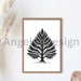 Douglas Fir Tree SVG Designs, Douglas Fir Logo, Douglas Fir Cone Vector ...
