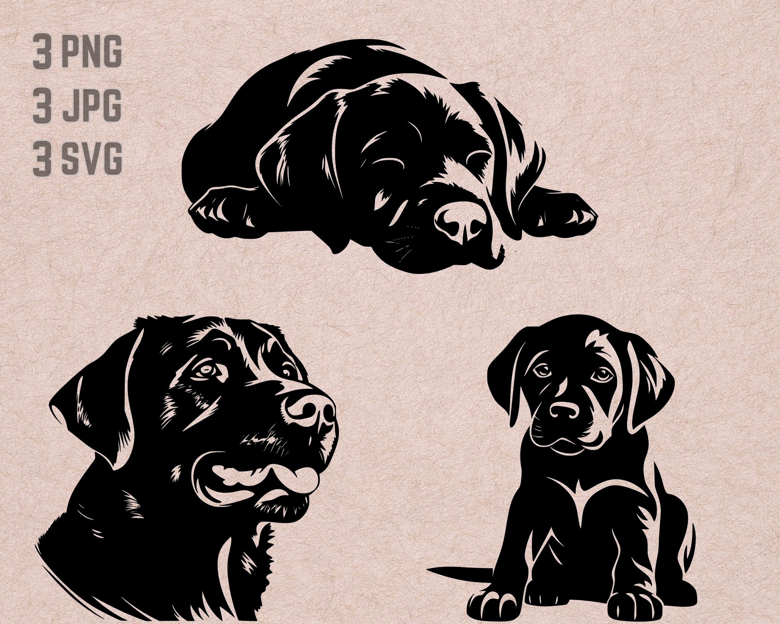 Labrador Retriever SVG Designs,dog Logo, Dog Lover Vector,funny Dog PNG ...