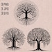 Cyber Tree SVG Designs, Organic Circuit Vector, Botanical Tech PNG ...